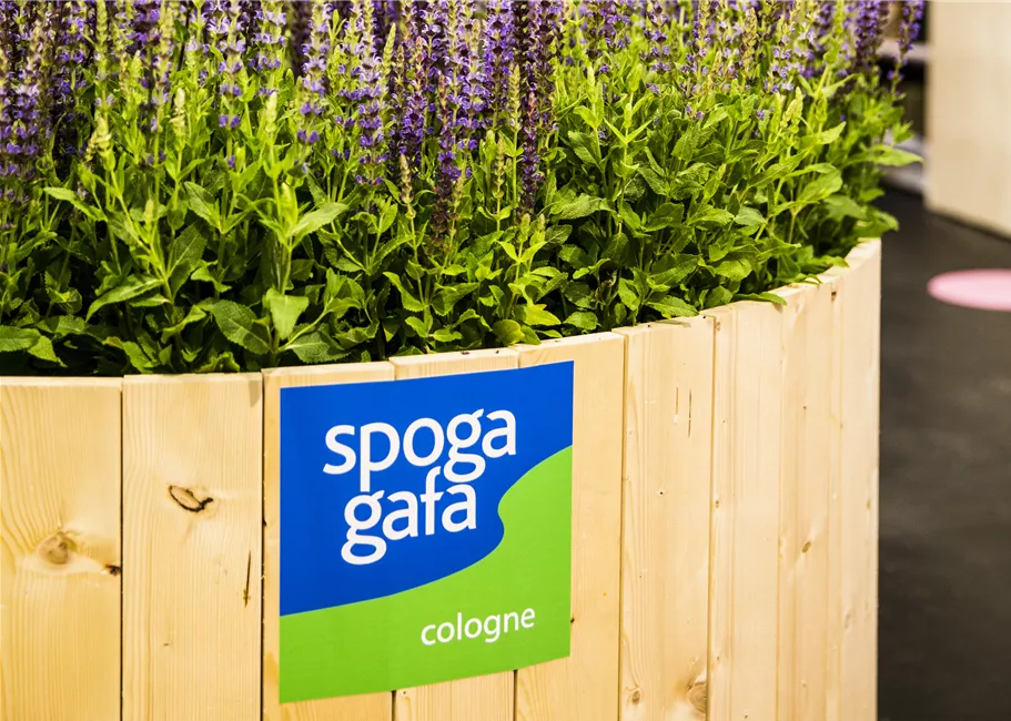 spoga gafa Leitthema 2025 - Verband Deutscher Garten-Center e.V.